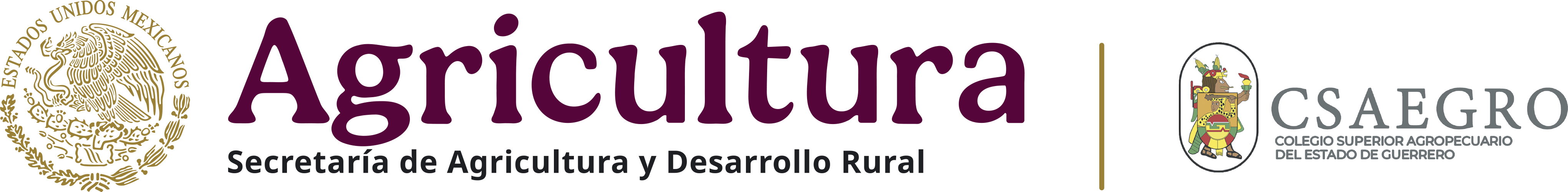 CSAEGRO | FICHA DE SOLICITUD CEP